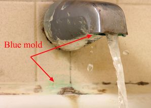 Blue/Green Stains on Bathroom Fixtures? A GA Plumber Explains - Mr ...